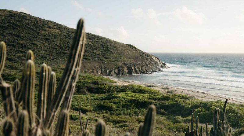 The Largest U.S. Virgin Island Is Largely Unspoiled — Thanks to Its Eco ...